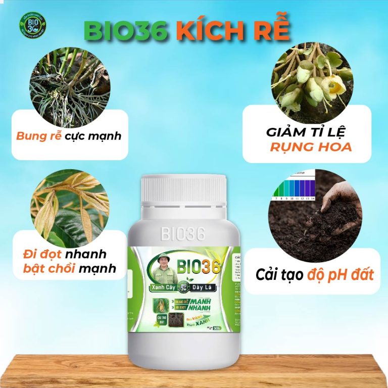 Bio 36 Siêu Kích Rễ Kích Đọt - Phân Bón Sinh Học Bio36