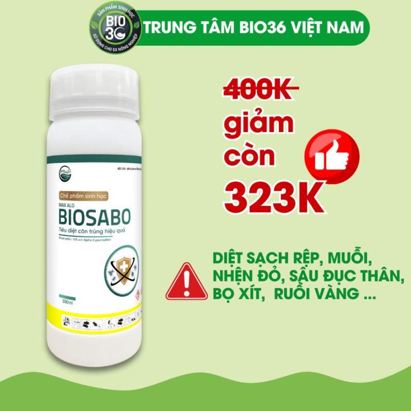 Bio 36 Siêu Kích Rễ Kích Đọt - Phân Bón Sinh Học Bio36